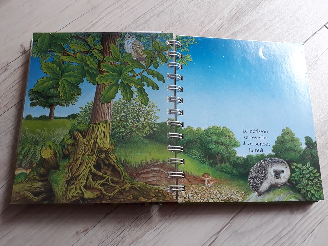 Il était une fois un livre #238 : deux livres sur le hérisson – Cécé ...
