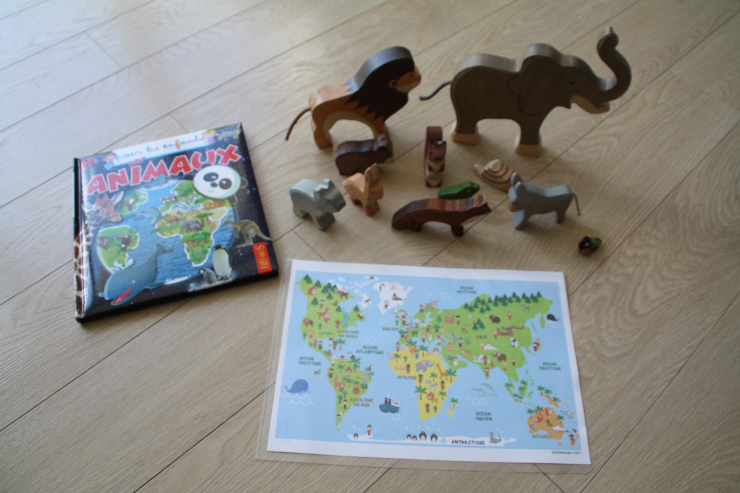 Un tour du monde… avec les animaux – Cécé from Aix