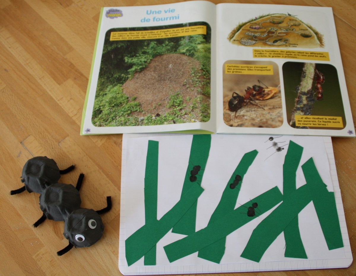 Activités sur le thème des fourmis – Cécé from Aix