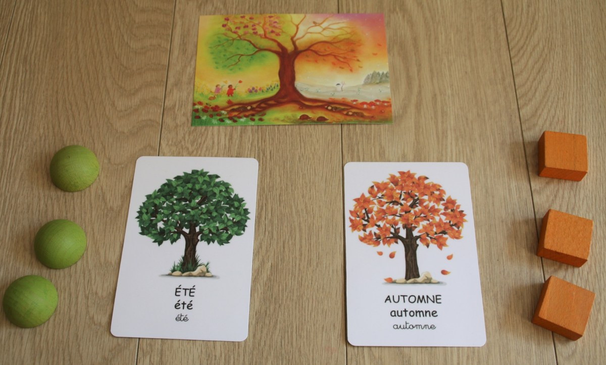 Activités sur le thème des arbres – Cécé from Aix